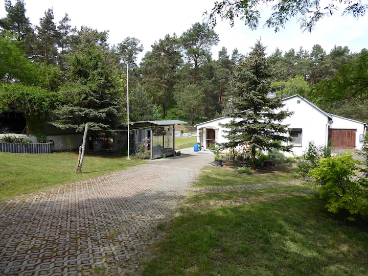 Ferienhaus Am Waldrand - "Nebra" - Lübbenau/Spreewald
