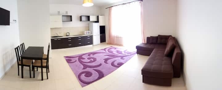 Apartment On Mynaiska 18 - Uzhhorod