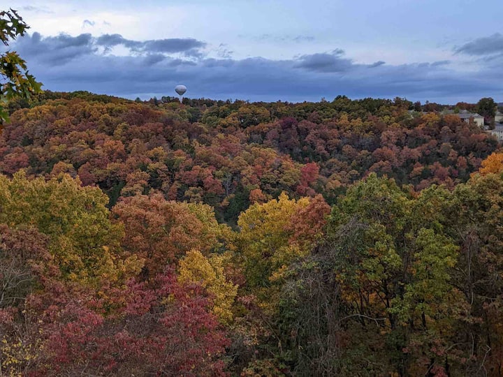 Notch2topfloorcondossleeps12freetrailerparking - Branson West, MO