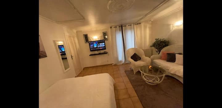 Superbe Appartement Au Rez De Chaussée D Une Villa - Vaulx-en-Velin