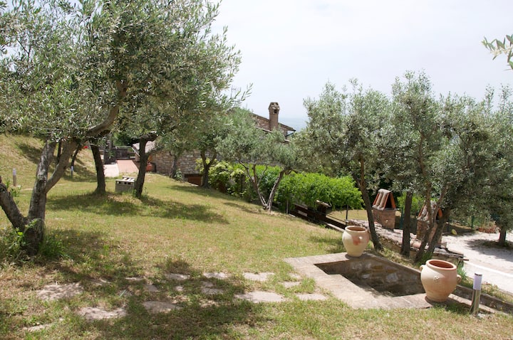 Casa Vacanza L'olivo Al Borghettaccio Di Assisi - Assisi