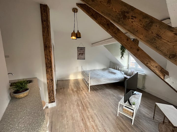 Chambre Cosy Avec Baignoire Comme Au Château - Seraing