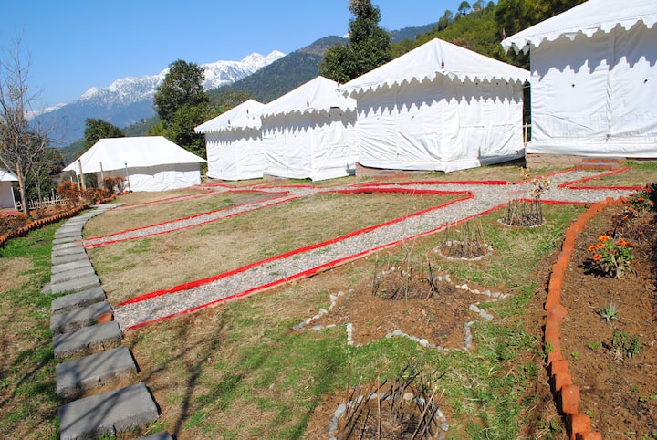 Camping In Bir | Book from 46 Stay Options @Best Price