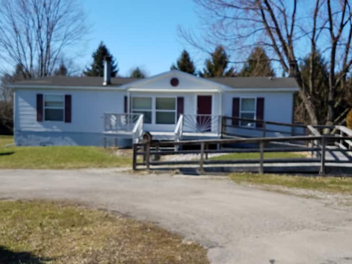 Davids Spacious Cabin - Donegal, PA
