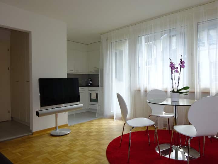 2-room Apartment In The Old Town - Lucerne