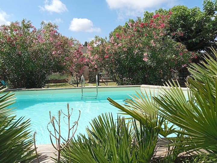 Location  Jardin/piscine Aux Pieds Des Alpilles - Saint-Rémy-de-Provence