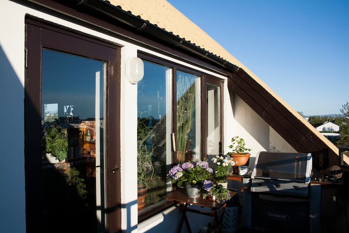 Comfortable Reykjavik Home With A View. - Reikiavik