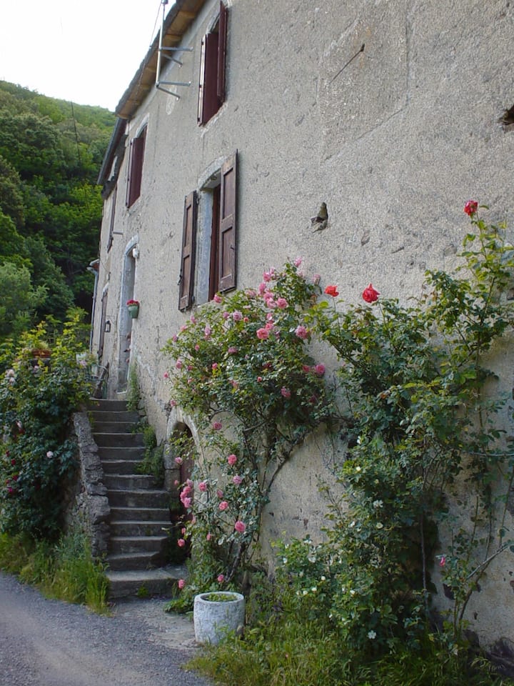 Ancienne Ferme Cévenole - Parc national des Cévennes