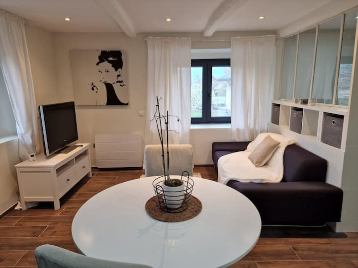 Charmant Studio Savoyard - Albertville