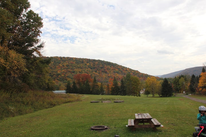 Great View Cabins - Salamanca, NY