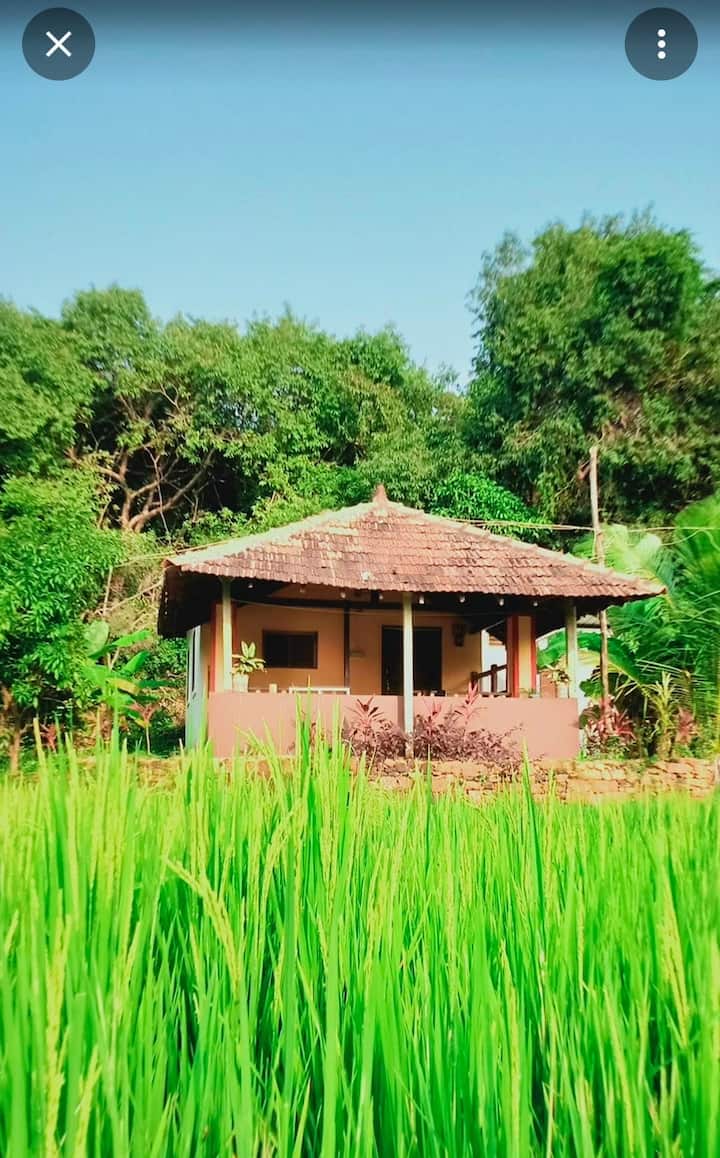 Narayan Farmstay - Gokarna