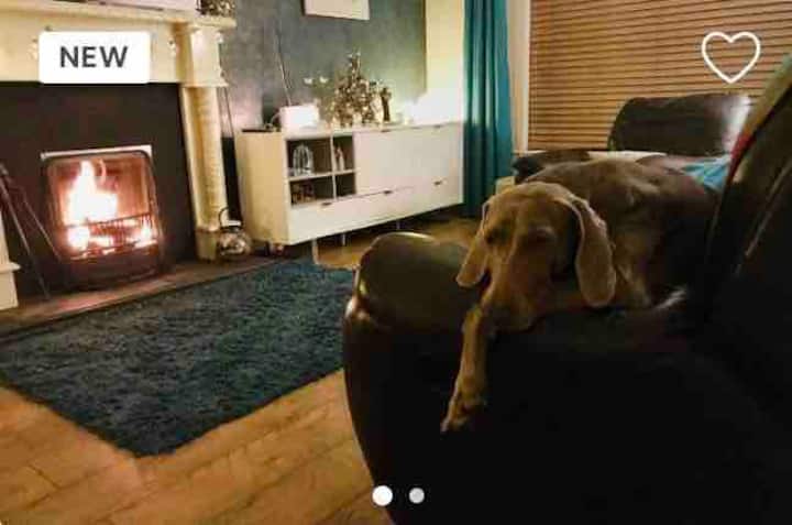 Dog Friendly House-village With Cafes, Nature Walk - 도니골 주