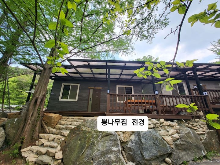 진천 연곡계곡 독채펜션, 뽕나무집 - Daejeon
