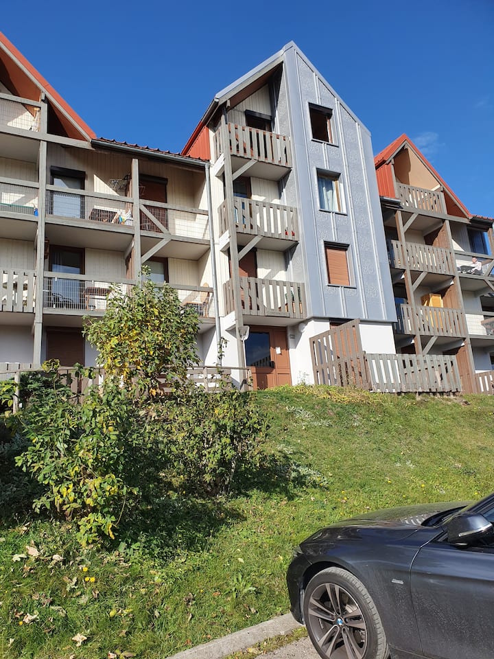 Joli Duplex Cosy De 30m2 Entre Lac Et Forêt - Les Rousses
