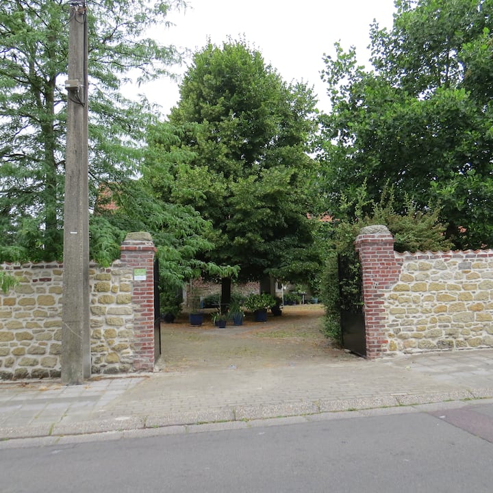 Les Grenouilles - Lens
