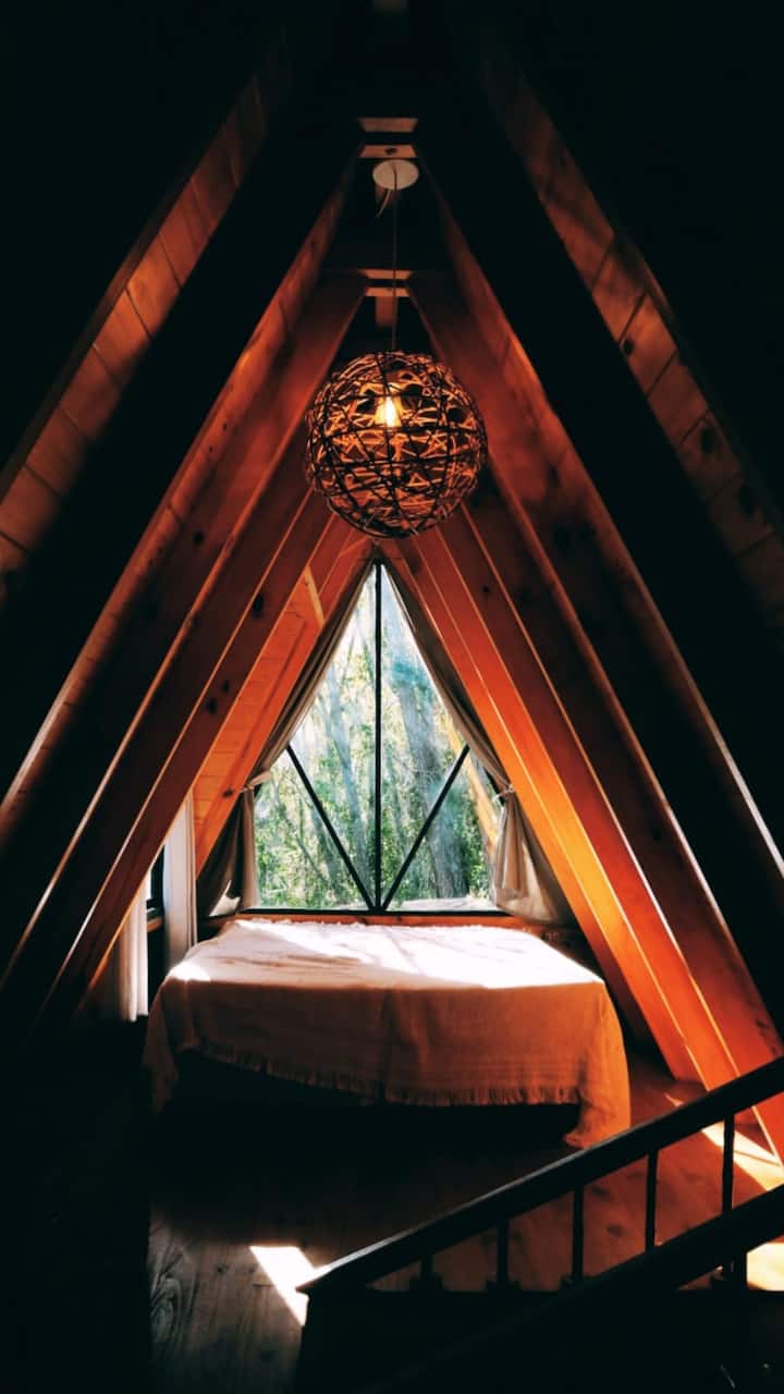 Cabana En El Delta De Tigre "Manauara" - Argentina