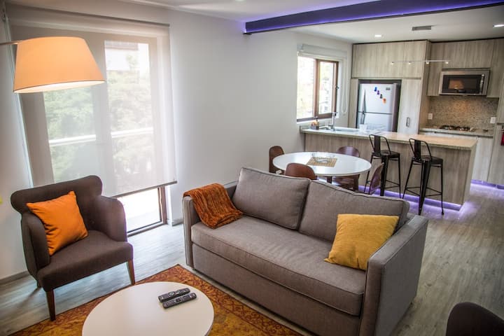 Sunny 1 Br Apt | Condesa - Mexico City
