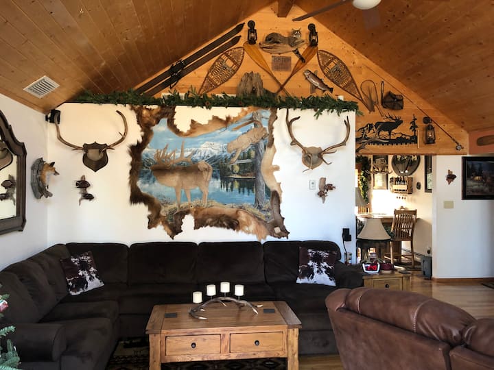 Cabin Room In Jemez Mountains - Jemez Springs, NM