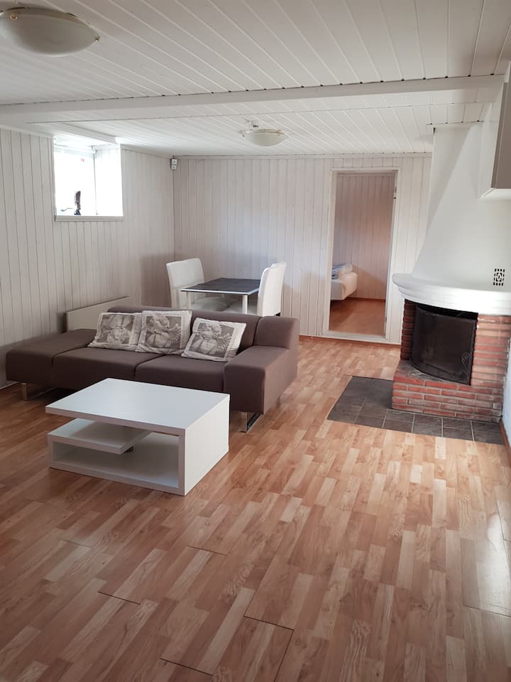 Big Family Friendly Apartment With Private Parking - Oslo