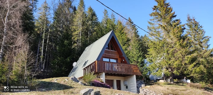 Chalet Convivial Les "Jonquilles" - Lac de Longemer