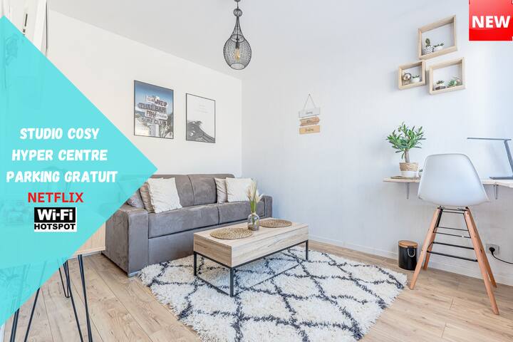 Superbe Studio Hyper-centre,parking, Wifi, Netflix - Thionville
