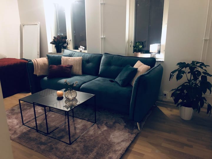 Mysig Lägenhet Centralt! - Stockholm