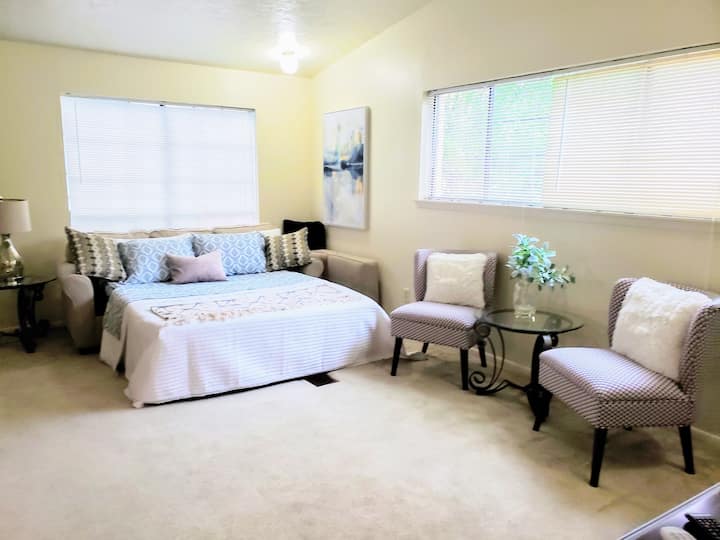 Museum Distr/medical
 Special"studio"hideaway $49 - Houston, TX