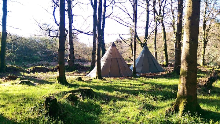 Wicklow Wilderness Adventure Tipi Camps For 6 Ppl - Wicklow