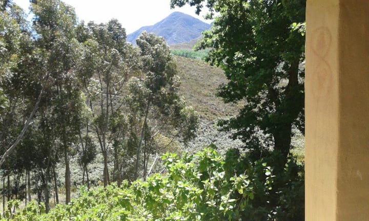 Main Farmhouse With 10 Rooms - Western Cape