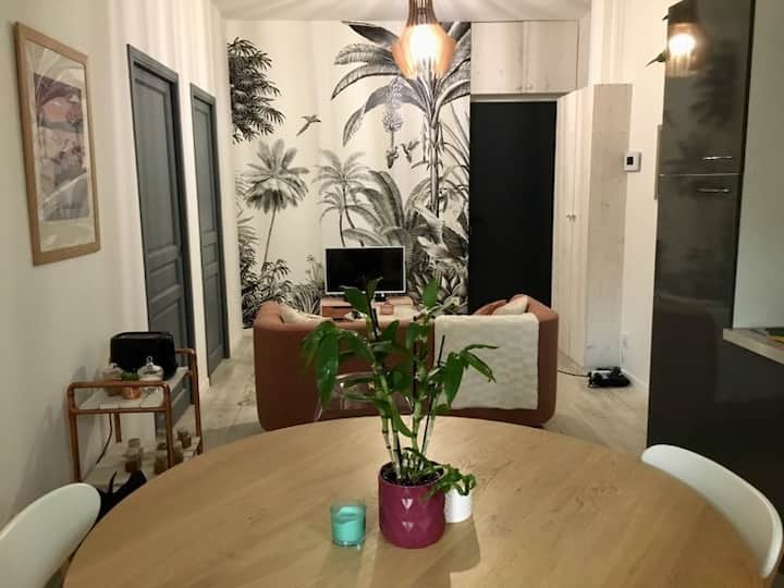 Appartement Avec Terrasse - Dax