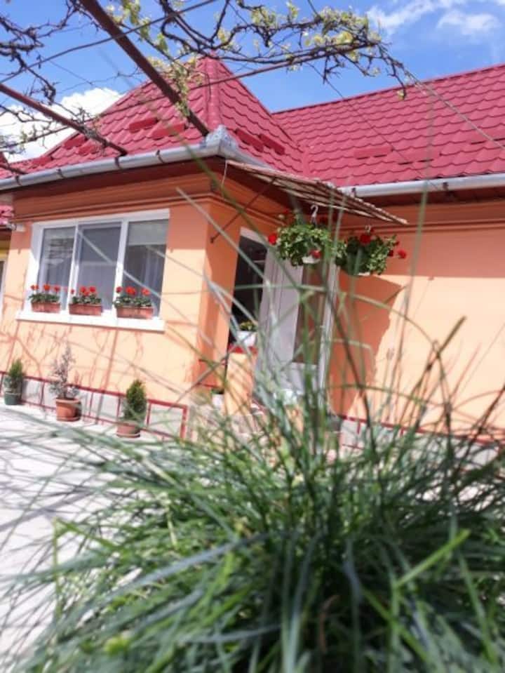Casa Mara Is Situated In Turda,5 Km From Salt Mine - Torda