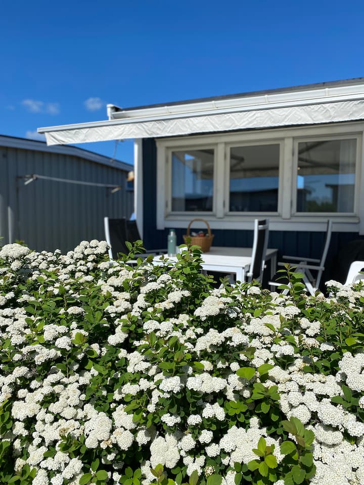 Mysig Badstuga 100 M Till Hav,20m Till  Servicehus - Falkenberg
