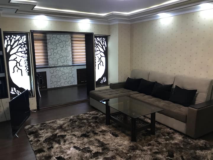 Apartments In The Center Of Tashkent + Wi-fi - Tashkent
