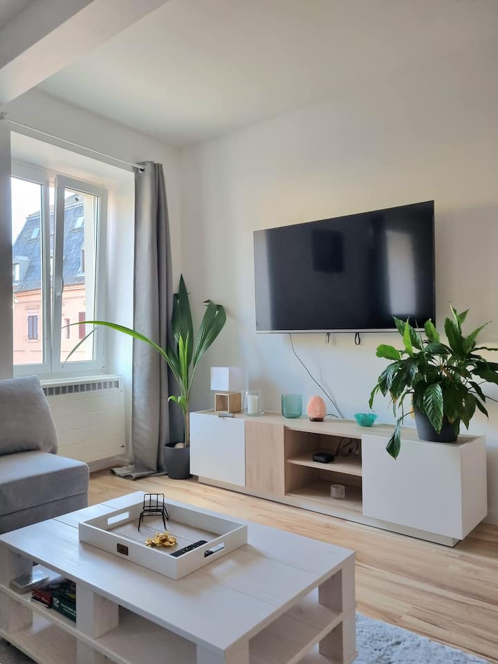 Le 17 - Axe Mulhouse - Bâle (1-6 Pers) - Alsace