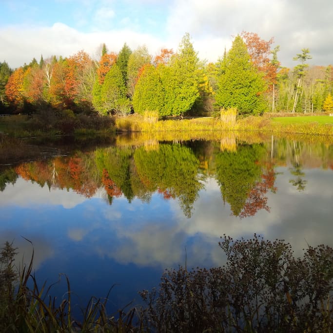 Heated Treehouse (all amenities) and Fall Colours - Treehouses for Rent ...