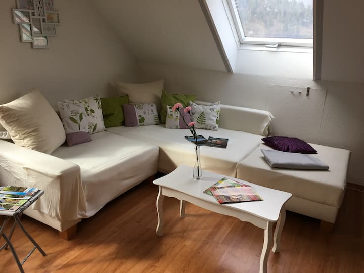 Apartment In Eberbach Near Heidelberg - Eberbach