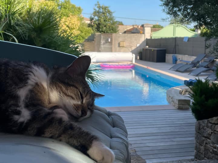 Paradizhotes Ardeche Vieux Mas De Plus De 200 Ans - Ardèche