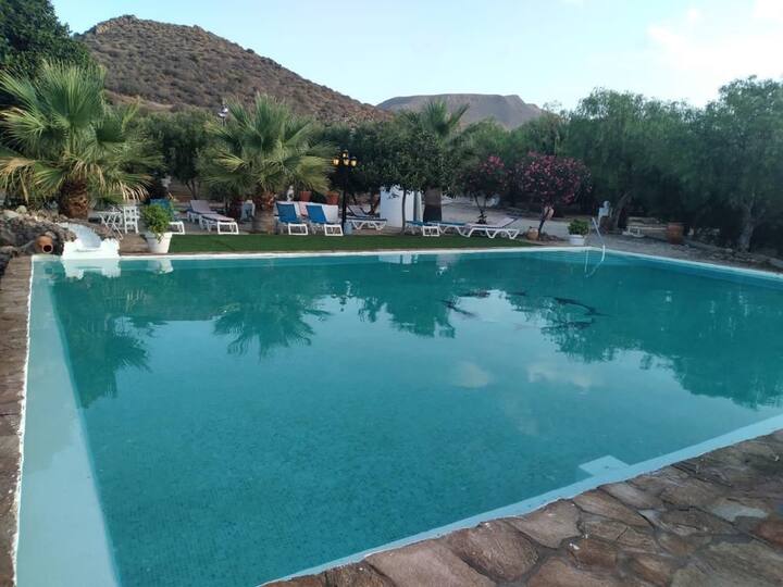 Mar Y Olivos - Cabo de Gata