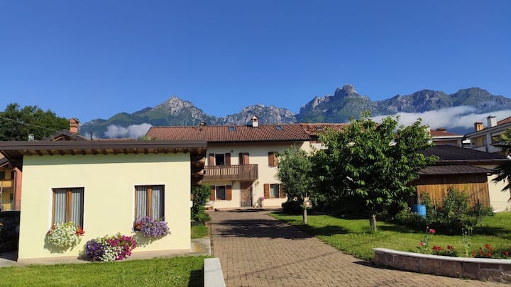 Glicine Delle Dolomiti - Mel