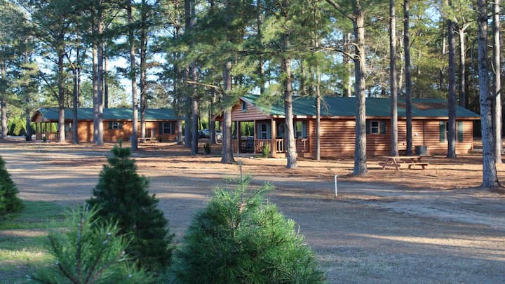 The Cabins At Fish River Trees - Cabin B - Alligator Alley, Summerdale
