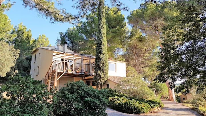 La Dentelaire - Salon-de-Provence