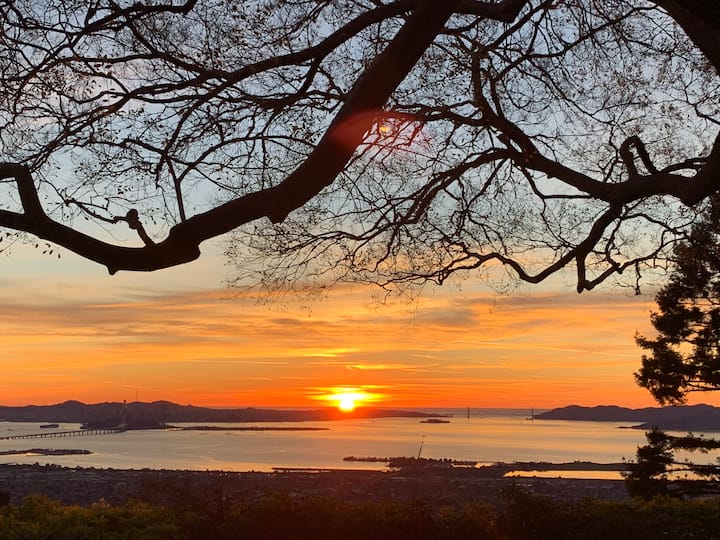 View, Views, Views + Serene, Spacious, Immaculate - Berkeley, CA