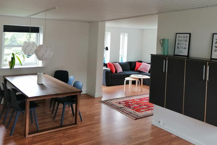 Spacious, Quality Apartment W/ Great Location - Kolding