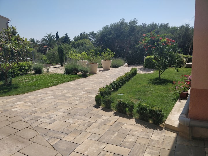 Huge Apartment In Center Of Novalja - Novalja