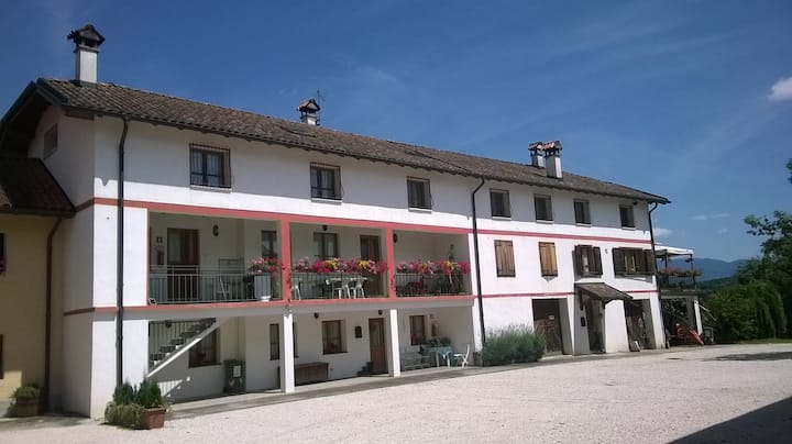 Agriturismo Mazzoncini - Belluno