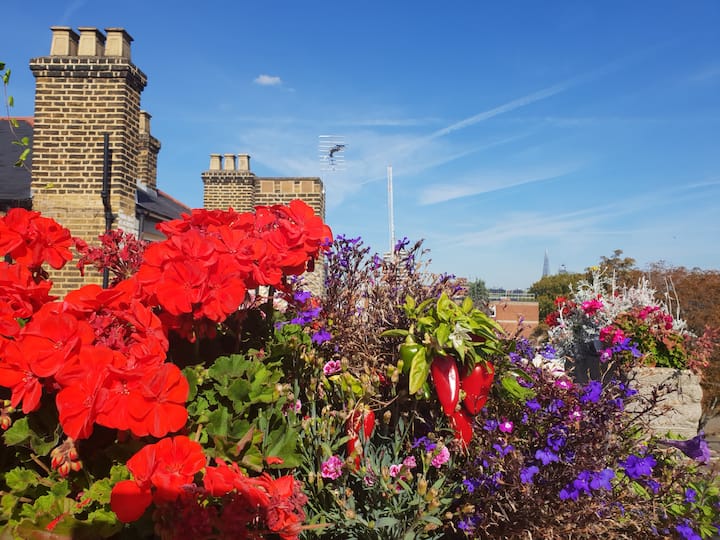 20 Minutes South Of Big Ben - The National Gallery