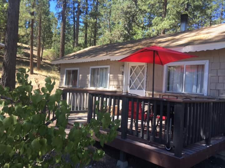 Comfy 2-bed Cabin Steps From Big Bear Village - Big Bear Lake, CA