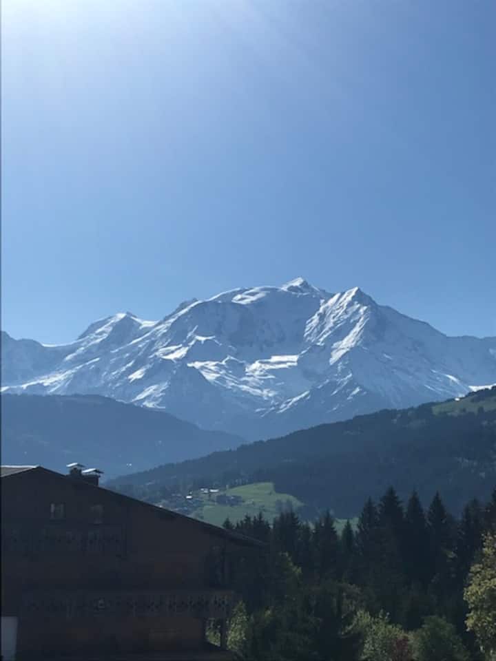 Appartement Pied Des Pistes Avec Vue Mont Blanc - Praz-sur-Arly