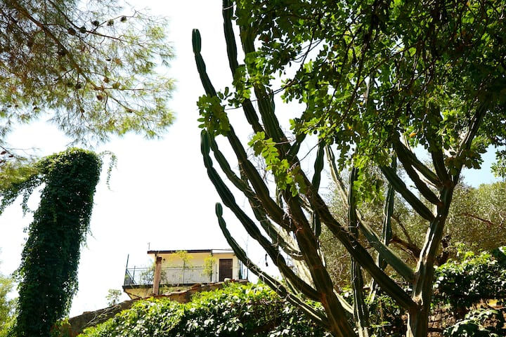 Casa Ricciolino-sicily: Alcantara, Taormina, Etna - Sizilien