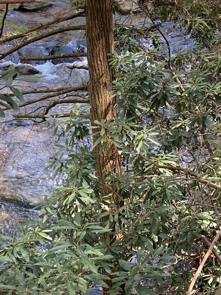 Fightingtown Creek Retreat Llc - Blue Ridge, GA